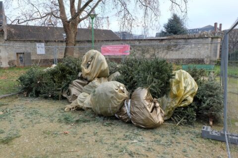Déchet Vert : Définition, Impact Environnemental et Gestion